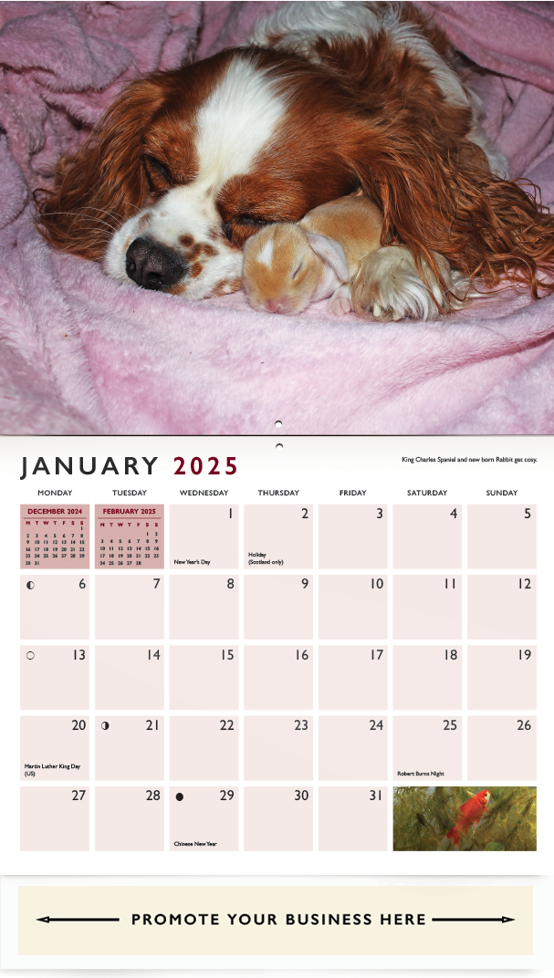Pets Friends Wall Calendar – Parade Calendars