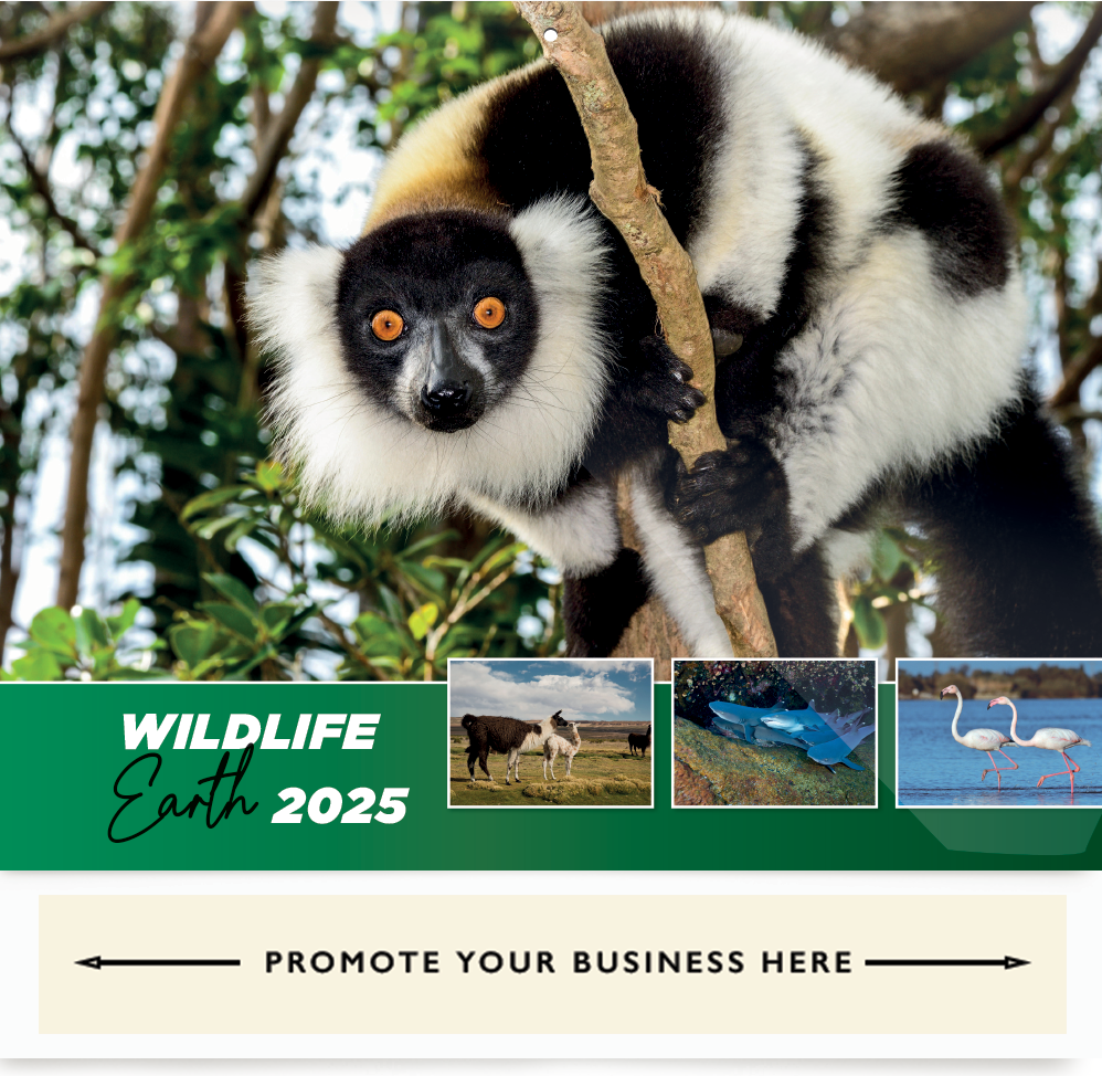 Wildlife Earth Wall Calendar – Parade Calendars