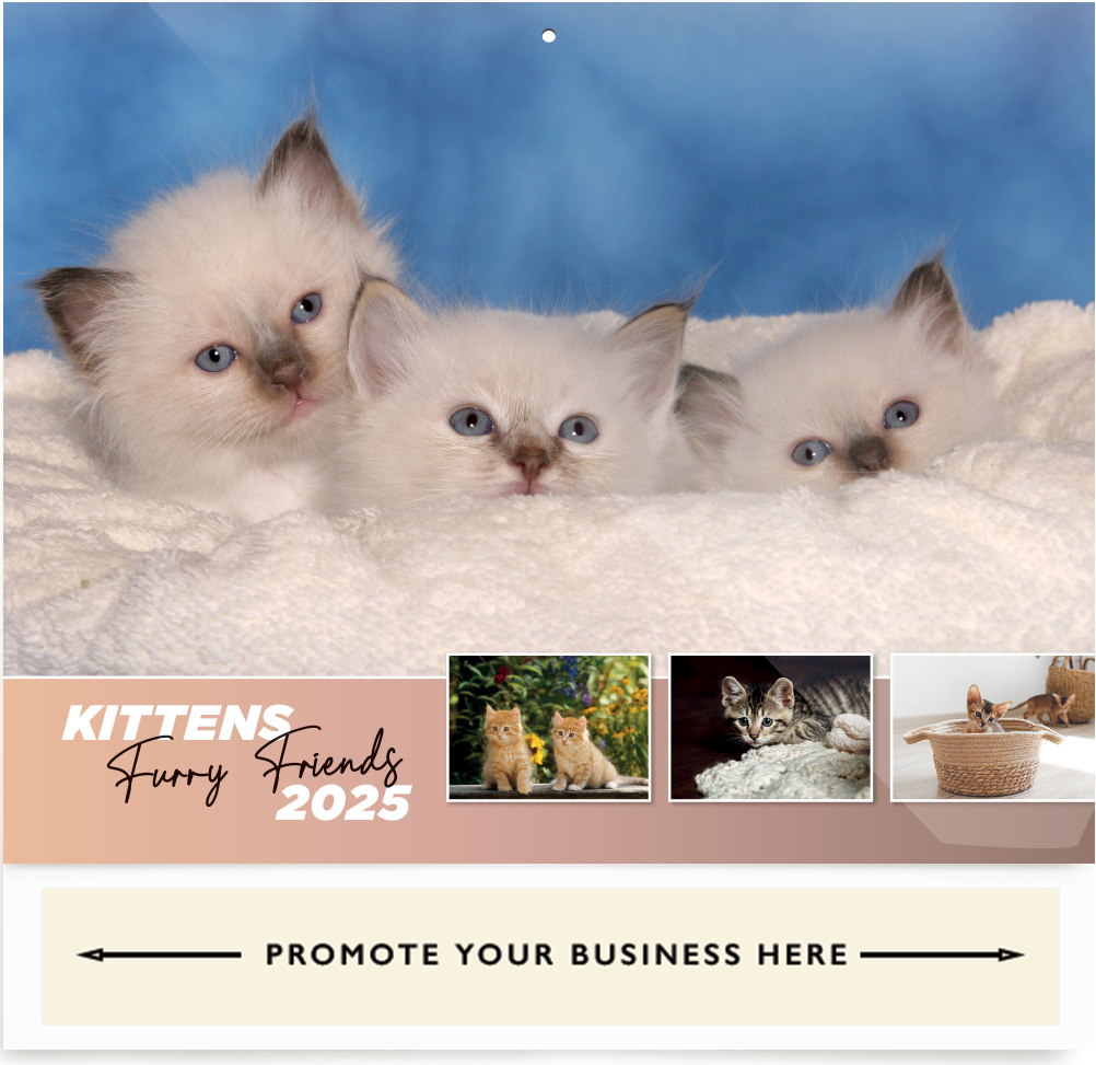 Kittens, Furry Friends Wall Calendar – Parade Calendars
